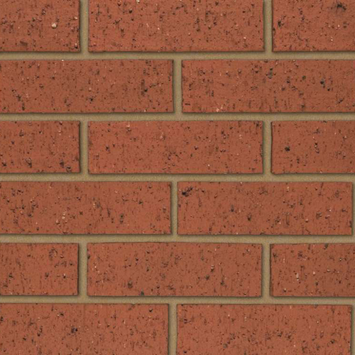 Stratford Red Dragface - Ibstock